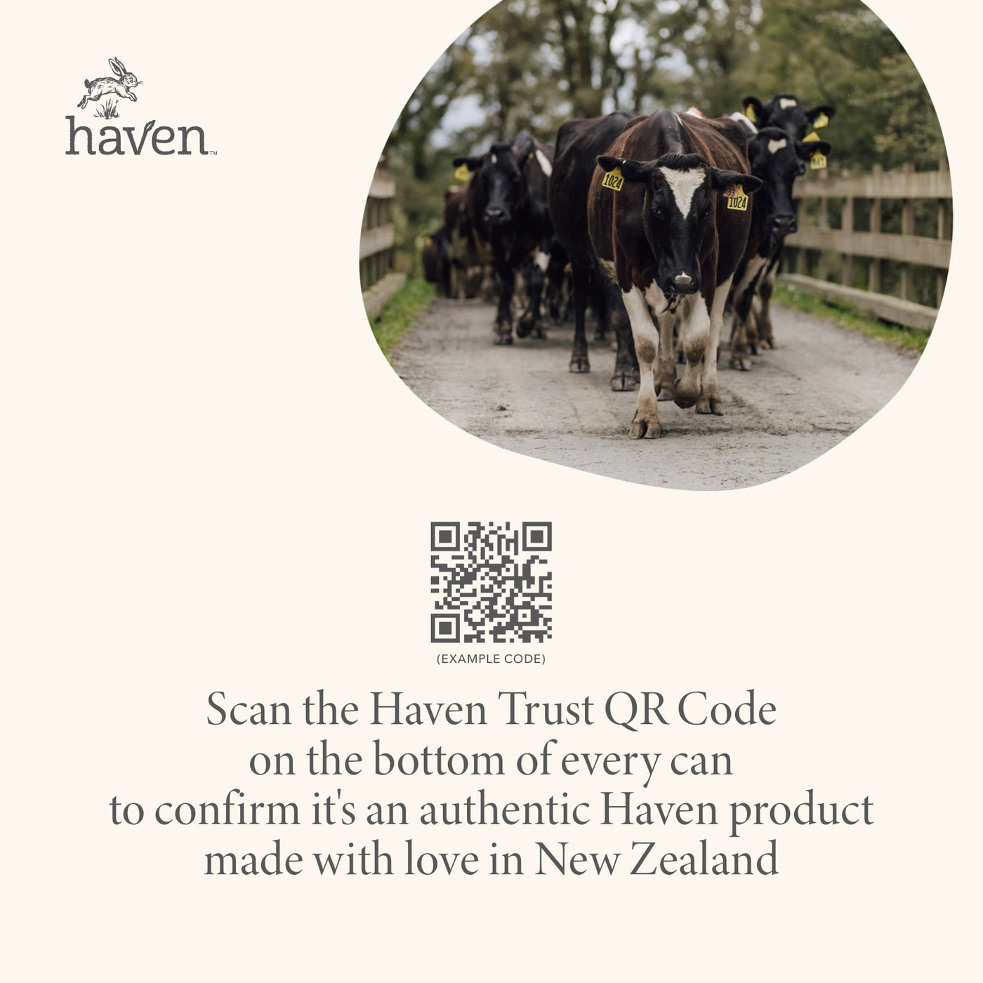 Haven A2 Cow Infant Formula
