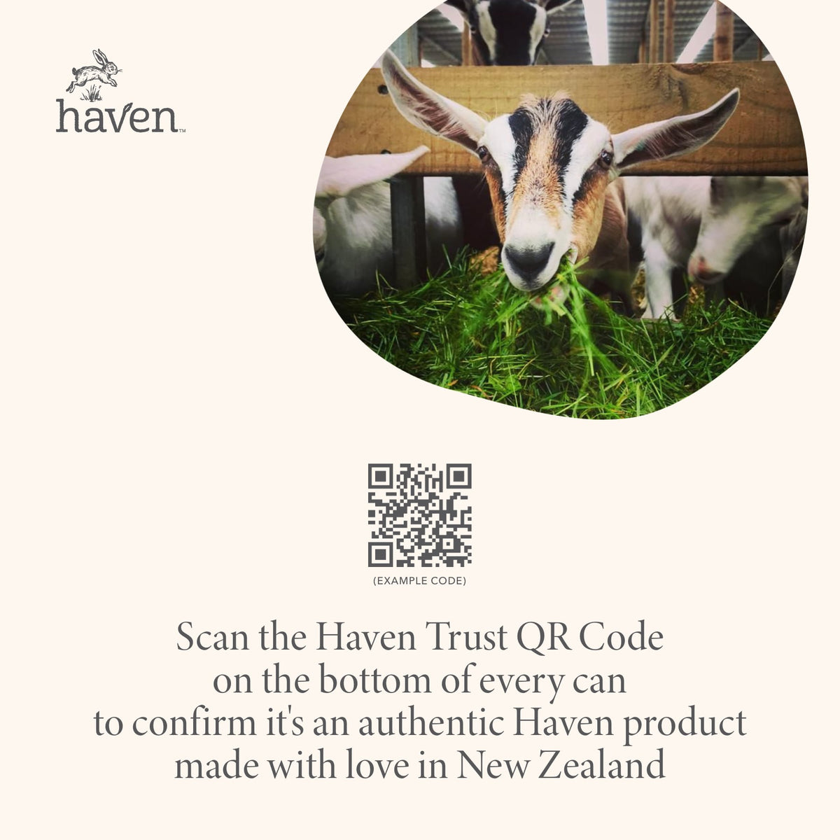 Haven Goat Infant Formula