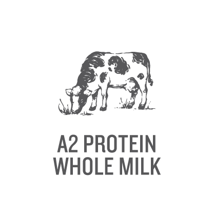 Haven A2 Protein Infant Formula