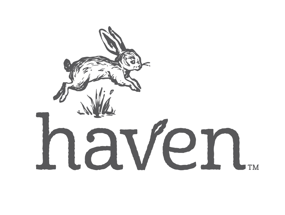 Haven | Premium Infant Nutrition Crafted With Care