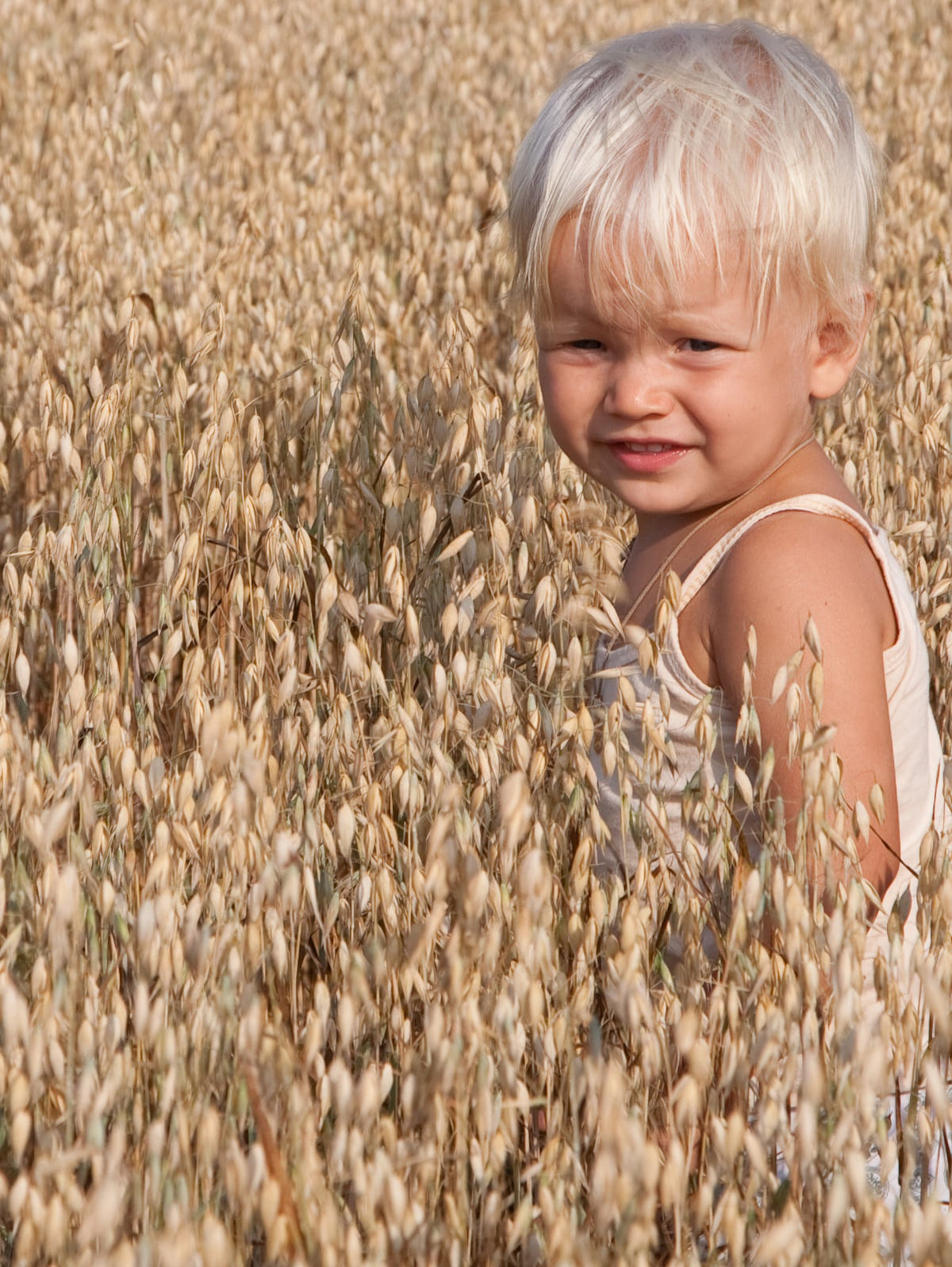 Haven | Premium Infant Nutrition Crafted With Care